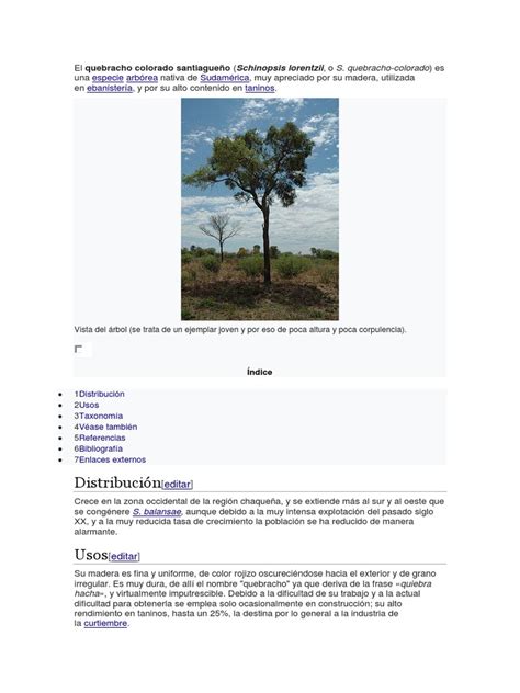 Schinopsis Lorentzii Pdf Argentina