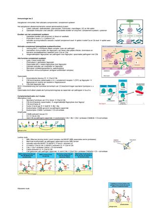 Wiskunde Formule Blad Dfvdfv 2 3 4 81 3 4 2 3 8 C 5 C 8 C 5
