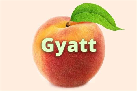 Gyatt Slang Meaning Merriam Webster