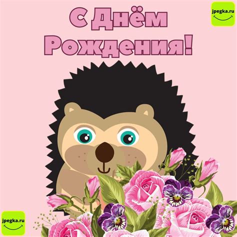 Открытки с Днём Рождения с Ёжиком: 35 картинок