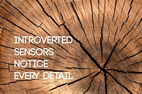 Are You A Si User Or A Ni User The Difference Between Introverted