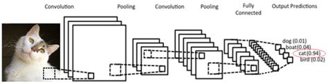 Future Internet Free Full Text Examining Gender Bias Of Convolutional Neural Networks Via