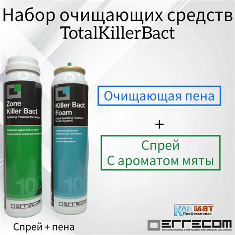 Набор очищающих средств для кондиционеров Errecom Total Killer Bact ...