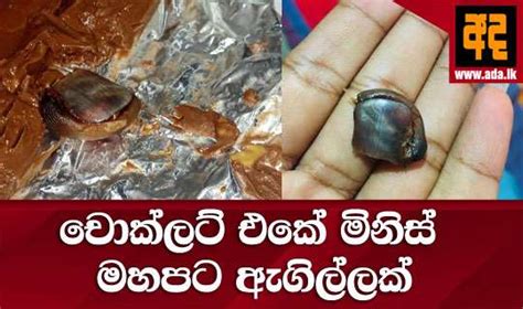 වරද පිළිගත් සක්විතිට මිලියන 5 බැගින් කොටස් 20කින් වන්දි ගෙවන්න නියම වෙයි Ada Online