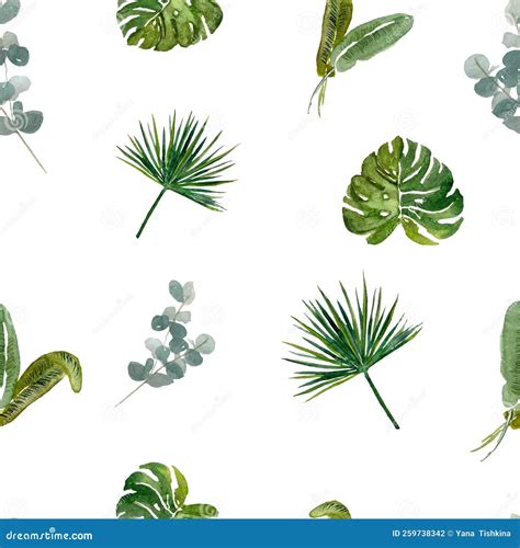 Seamless Palm Leaf Eucalyptus A Large Pattern Stock Illustration