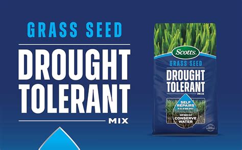 Scotts Grass Seed Drought Tolerant Mix Kentucky Bluegrass