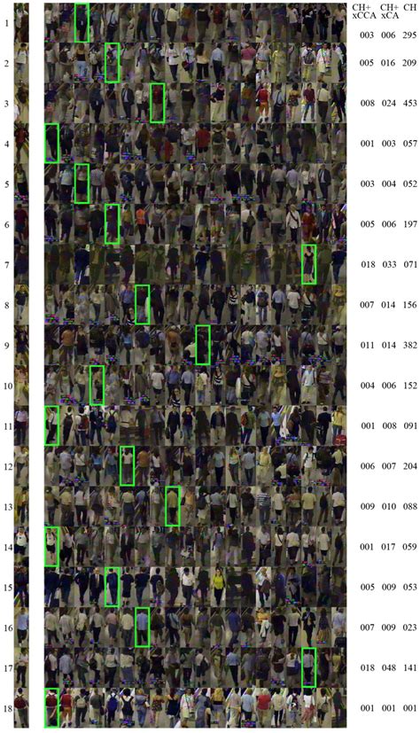 Time Delayed Correlation Analysis For Multi Camera Activity Understanding