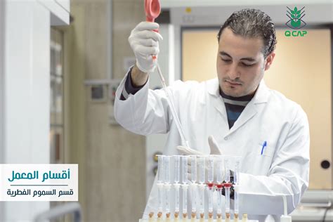 السموم الفطرية وهى الإفرازات السامة للفطريات على الأغذية عند توفر