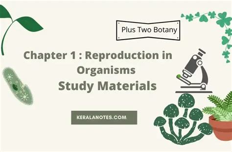 Plus Two Botany Notes Chapter1 Reproduction In Organisms