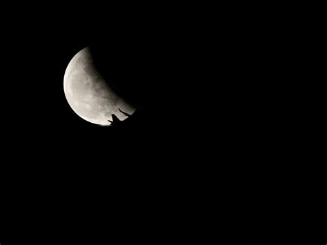 Las Fotos De La Luna De Sangre Que Captaron Usuarios En Redes Sociales Infobae
