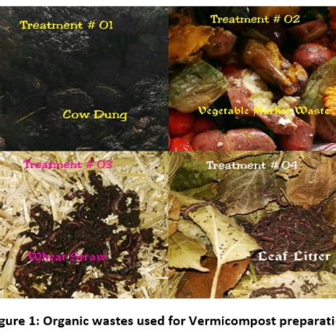 Effect Of Vermicompost Types Along With Rhizobium Inoculation Impact On