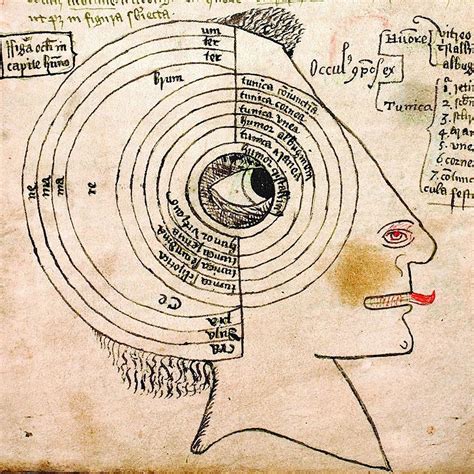 Medieval Art On Instagram “this Unusual Diagram Shows The Different