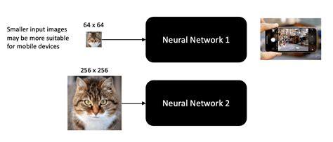 Getting Started With Neural Networks