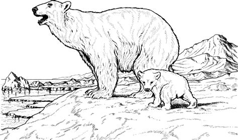 Actualizar 55 Images Oso Polar Animado Para Dibujar Viaterra Mx