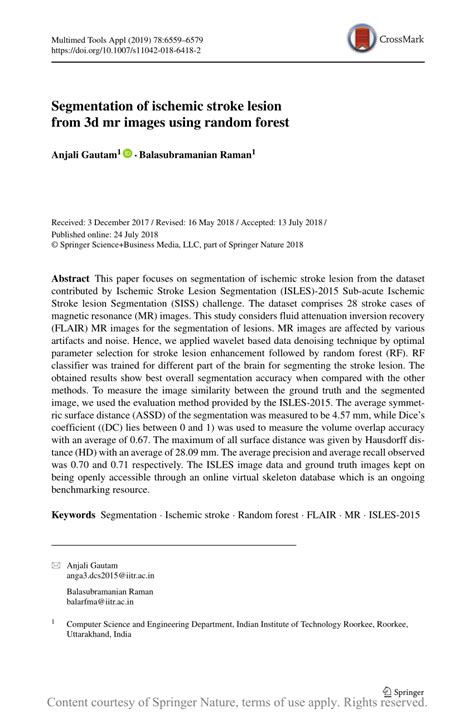 Segmentation Of Ischemic Stroke Lesion From 3d Mr Images Using Random Forest Request Pdf
