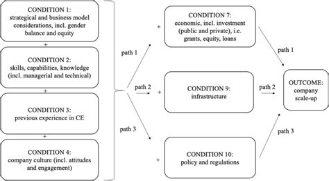Three Paths Models To Achieving The Company Scale Up Download Scientific Diagram