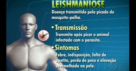 G1 Mais de 50 pessoas estão internadas leishmaniose em Redenção