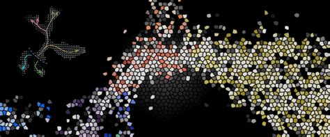 Rna Velocity In Single Cells Gioele La Manno