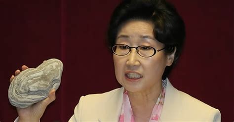 돌들고 대정부질문
