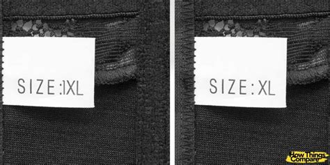 Size 1XL Vs XL What Is The Difference Paint Color Comparisons Guides