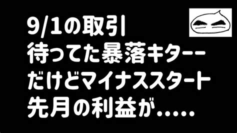 【91の取引】日経平均下落⤵待ってた暴落キターーー‼だけど今月マイナススタート💦先月の利益が Youtube