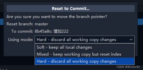 sourcetree图文使用教程 保姆级 sourcetree使用教程 csdn博客
