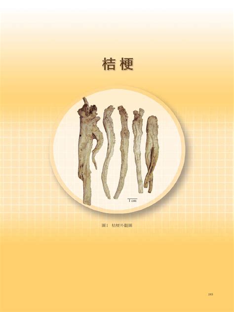 Radix Platycodi Pdf