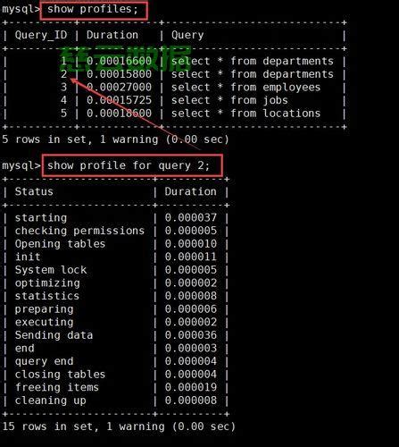 Mysql查看和修改时区 技术分享 云服务器