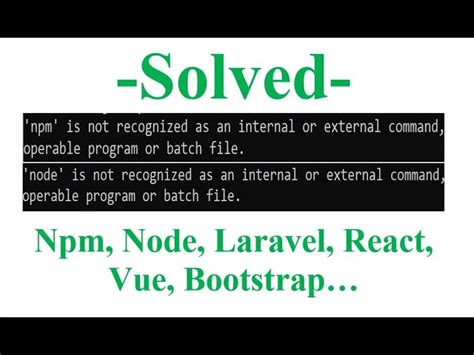 ng command not found troubleshooting the ng is not recognized as an internal or external