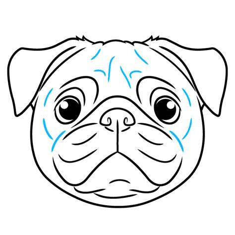 How To Draw A Pug Face Artofit