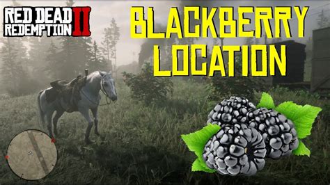 Red Dead Redemption 2 Another Blackberry Location Rdr2 Youtube
