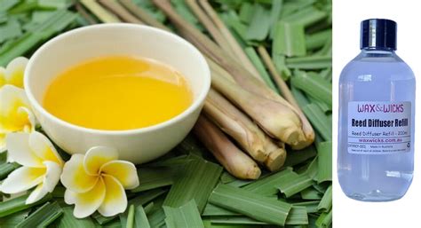 Citronella Reed Diffuser Refill Waxandwicks