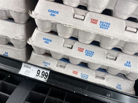 Bird Flu Crisis Why Egg Prices Are Set To Soar