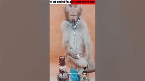 कुछ ऐसे कर्म जो बताते हैं कि अगले जन्म में आप क्या बनकर पैदा होते हैं 😱