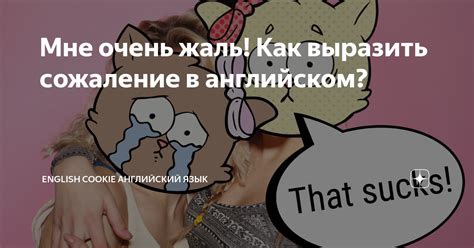 Мне очень жаль Как выразить сожаление в английском English Cookie