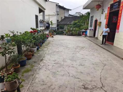 美丽庭院户 共乐镇邱永良家庭澎湃号·政务澎湃新闻 The Paper