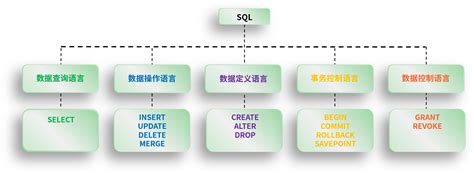 最新最全的 Sql 入门教程，老少皆宜，强烈推荐！sql教程 Csdn博客