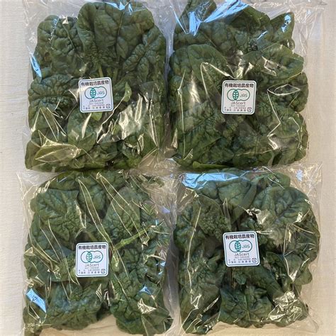 有機ちぢみほうれん草、入荷です 自然食品店 あしたば