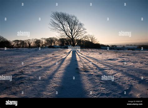 Casts Tree Shadow Hi Res Stock Photography And Images Alamy