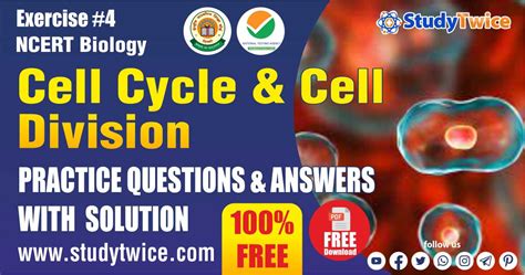 Cell Cycle And Cell Division NEET 2025 Botany Questions 1
