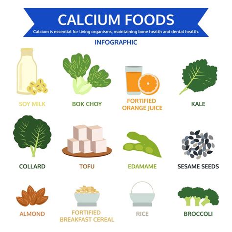 Calcium Rich Foods Dairy And Non Dairy Options And How Much You Need