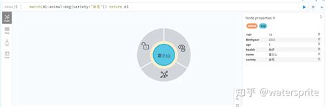 neo4j图数据库节点查询相关内容（知识图谱 三） 知乎