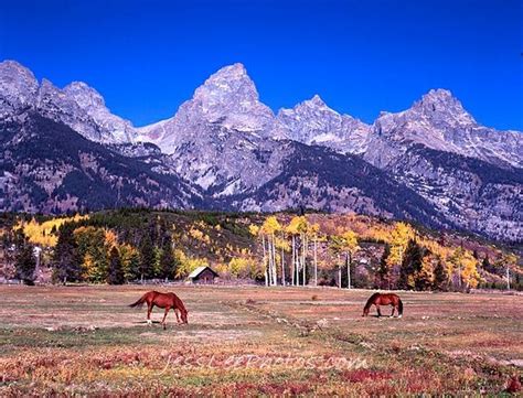 Photos Of Grand Teton National Park Jackson Hole Wyoming Grand Teton