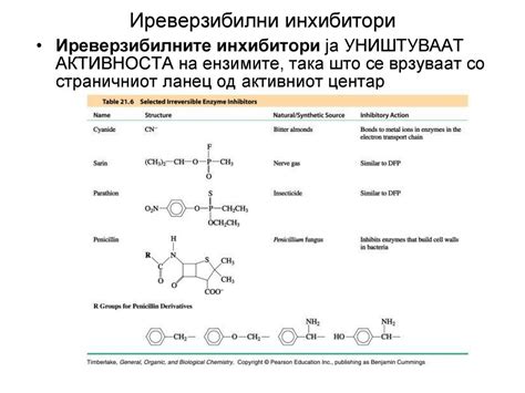 ЕНЗИМИ Што е битно да изучиме во оваа лекција? - ppt download