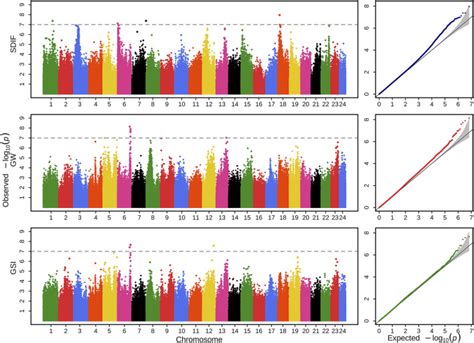 Genome Wide Association Study Reveals Genomic Loci Of Sex Differentiation And Gonadal