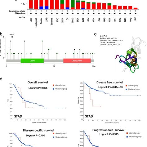 Mutation Feature Of Cbx3 In Different Tumors Of Tcga The Cbioportal Download Scientific
