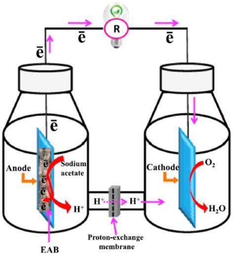 Green Nanocomposite Electrodeselectrolytes For Microbial Fuel Cells