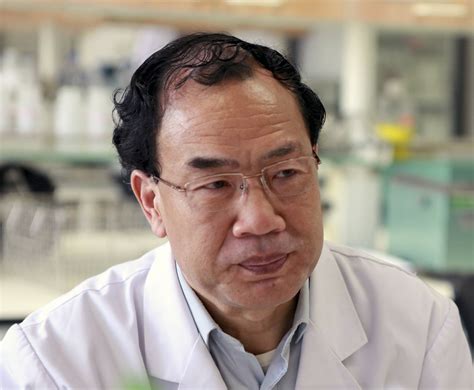 Yong Zhen Zhang Falling Walls