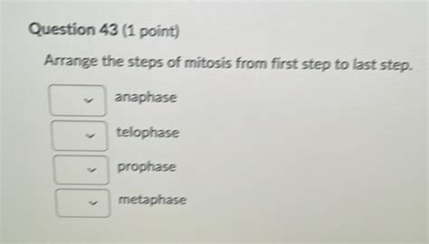 Question Point Arrange The Steps Of StudyX