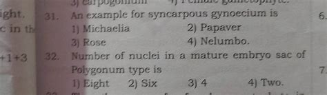 An Example For Syncarpous Gynoecium Is Filo